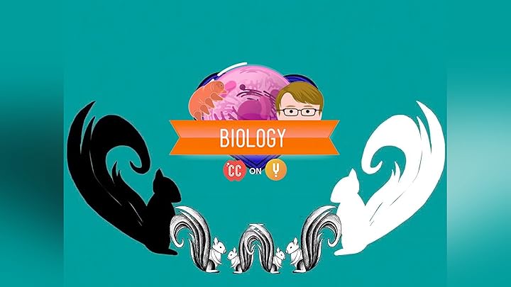 Prime Video: Crash Course: Biology - Season 1