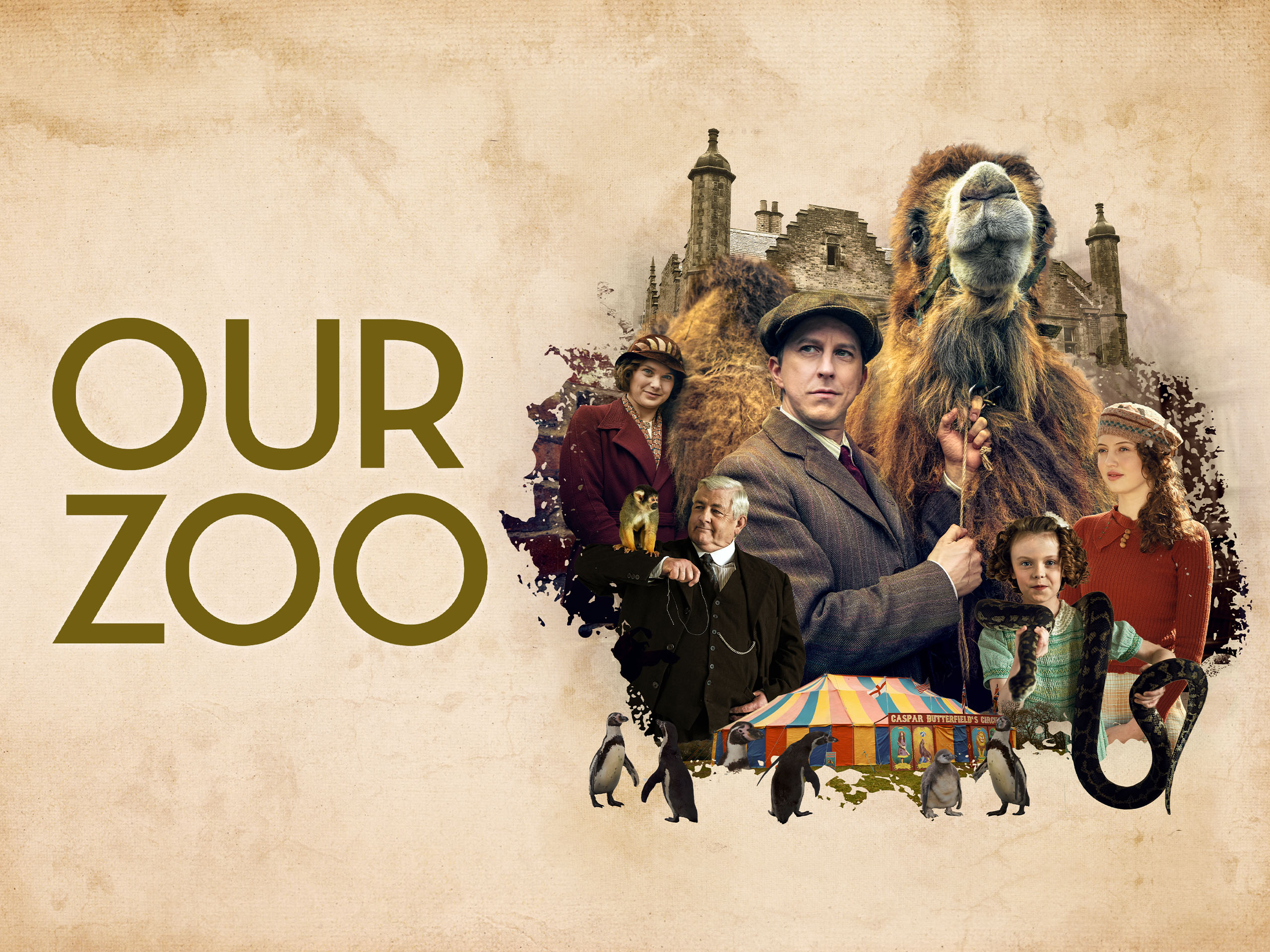 Prime Video: Our Zoo S1