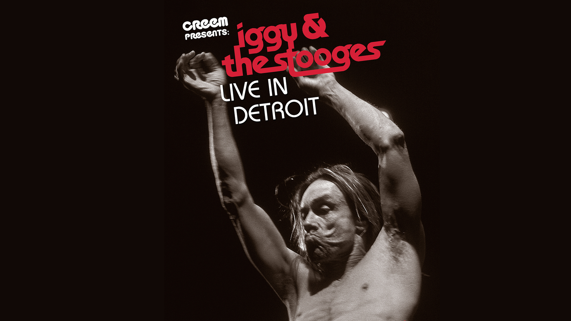 Iggy Pop And The Stooges Wallpaper