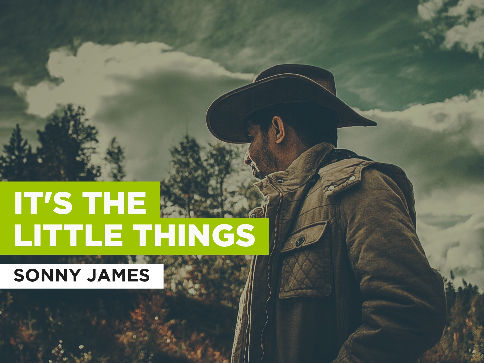 Prime Video: It's The Little Things al estilo de Sonny James