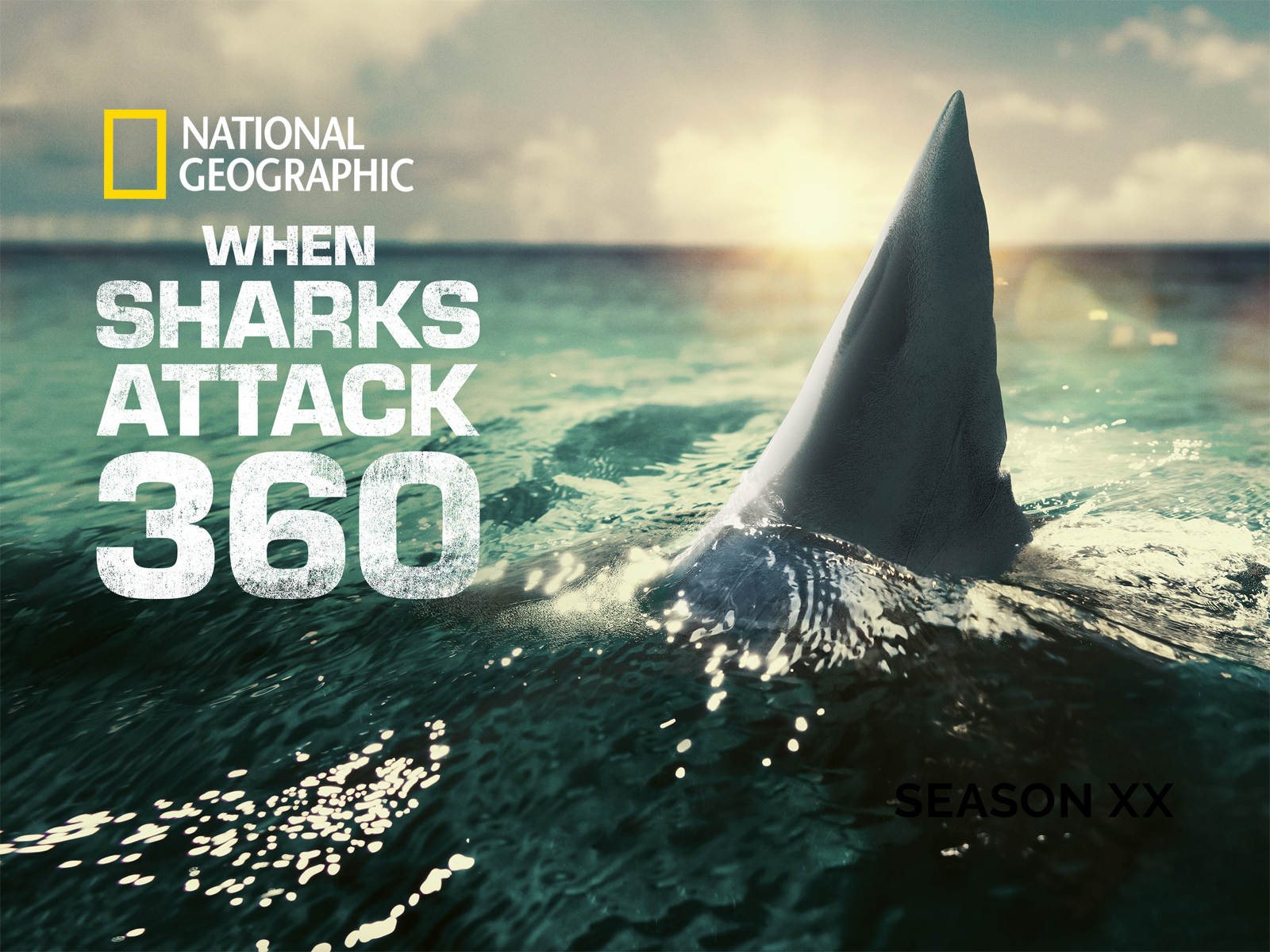 Prime Video: When Sharks Attack 360 Pops - Season 1
