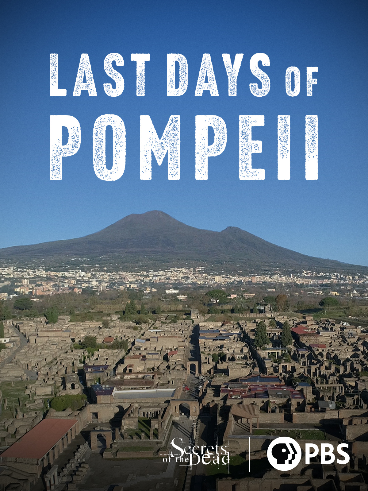 Prime Video: Last Days of Pompeii