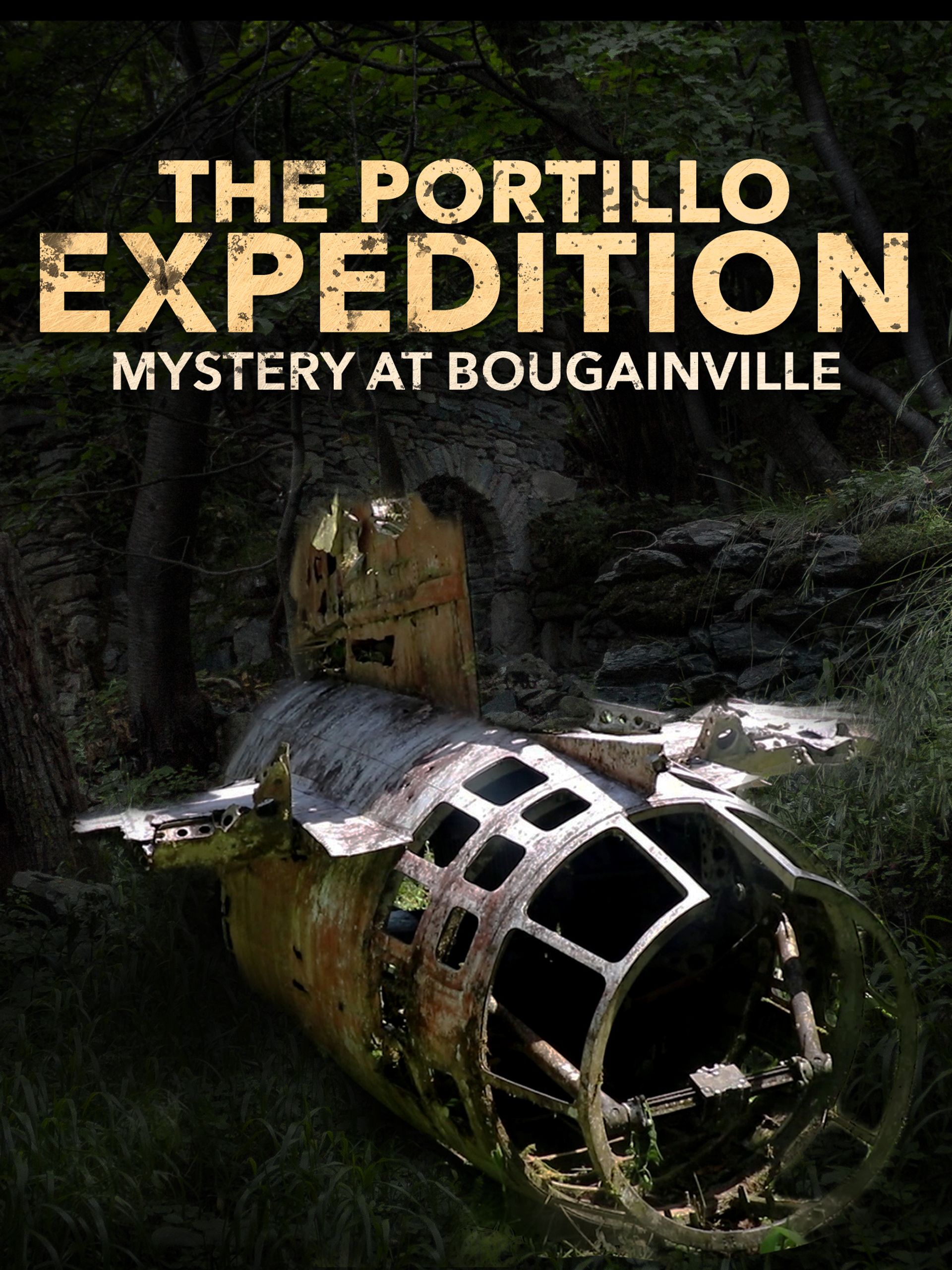 Prime Video: The Portillo Expedition: Mystery on Bougainville Island