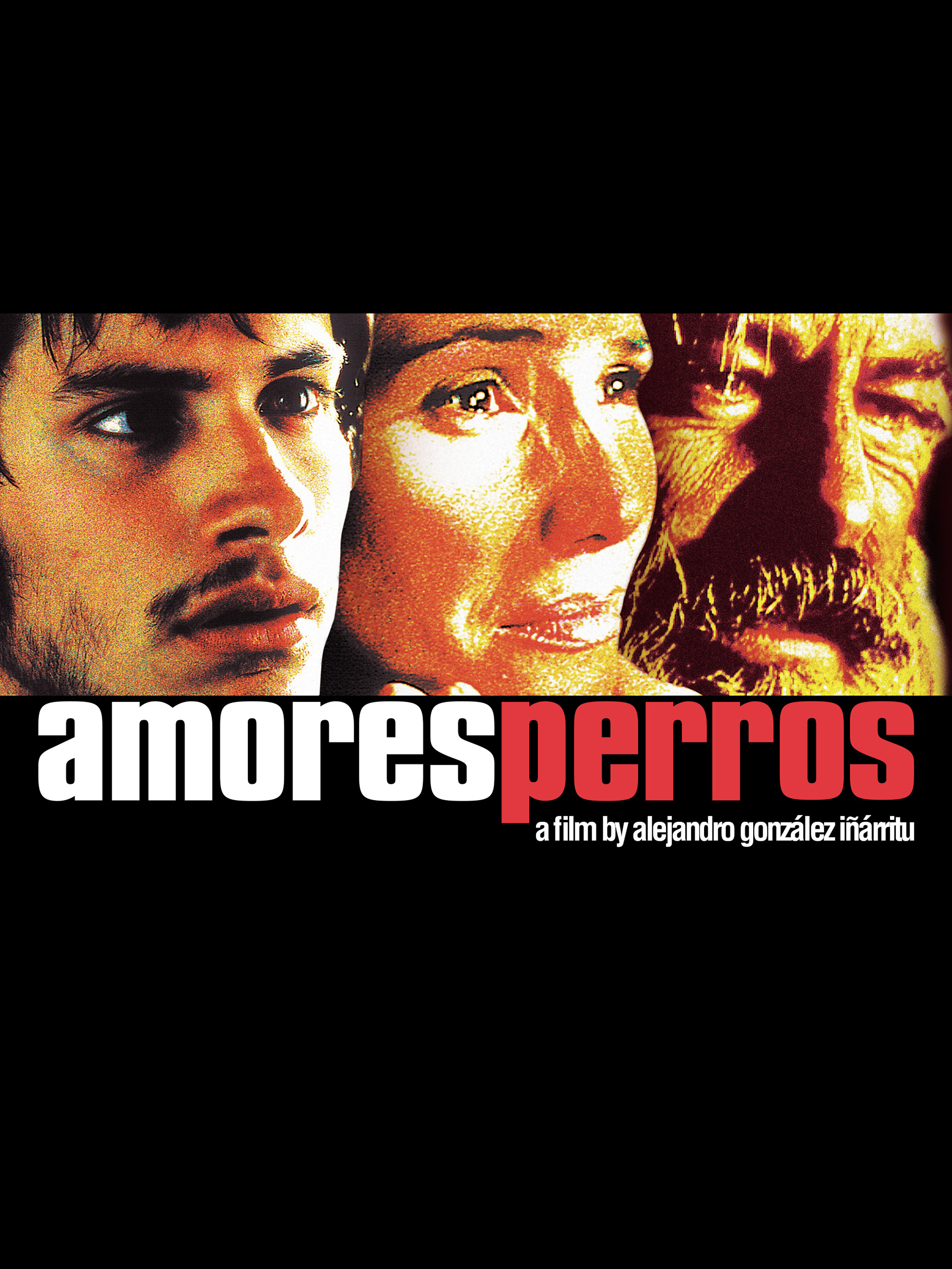 Prime Video: Amores Perros