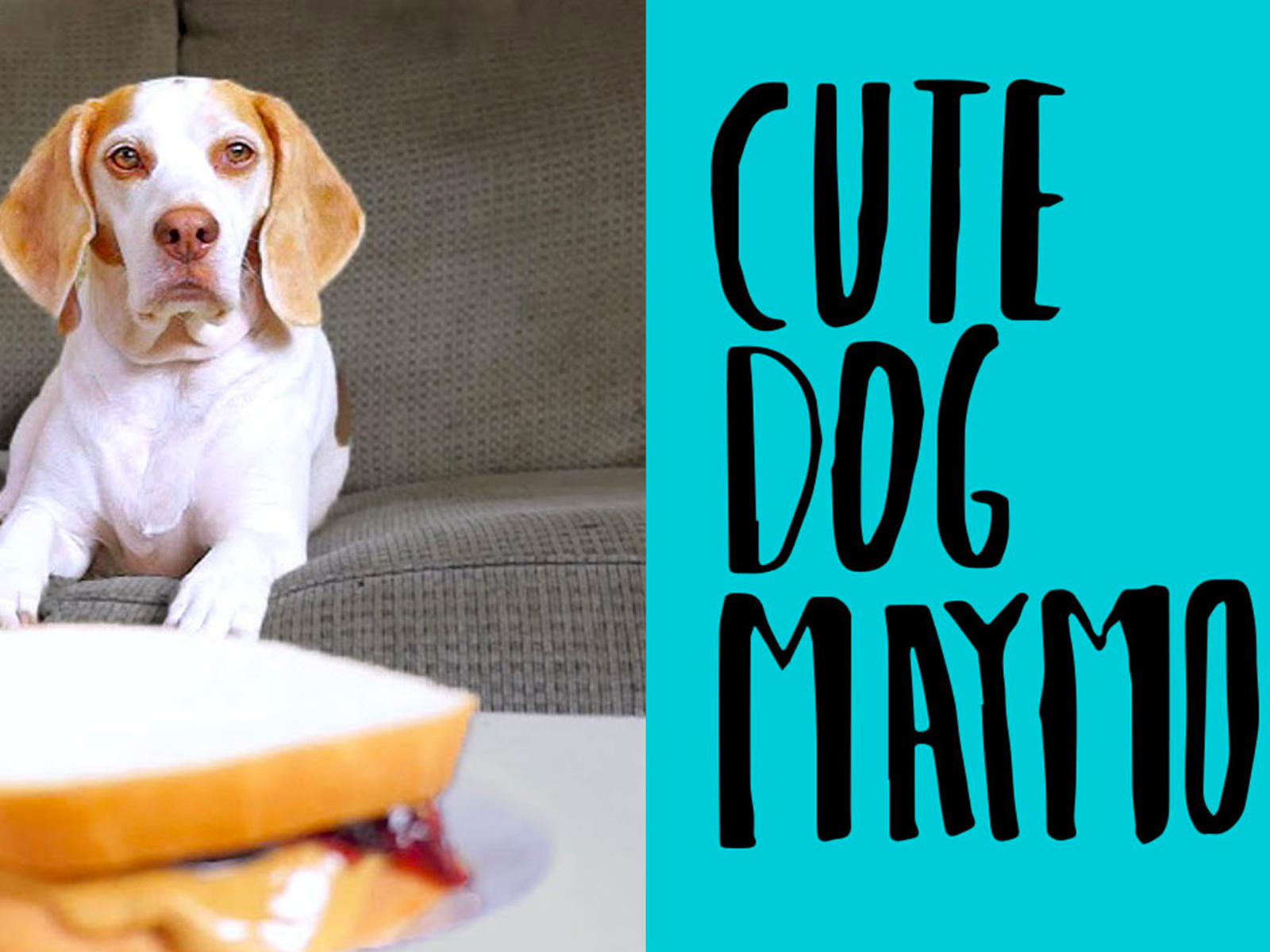 Prime Video: Maymo - Season 1