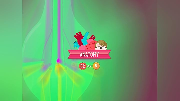 Prime Video: Crash Course: Anatomy & Physiology - Season 1