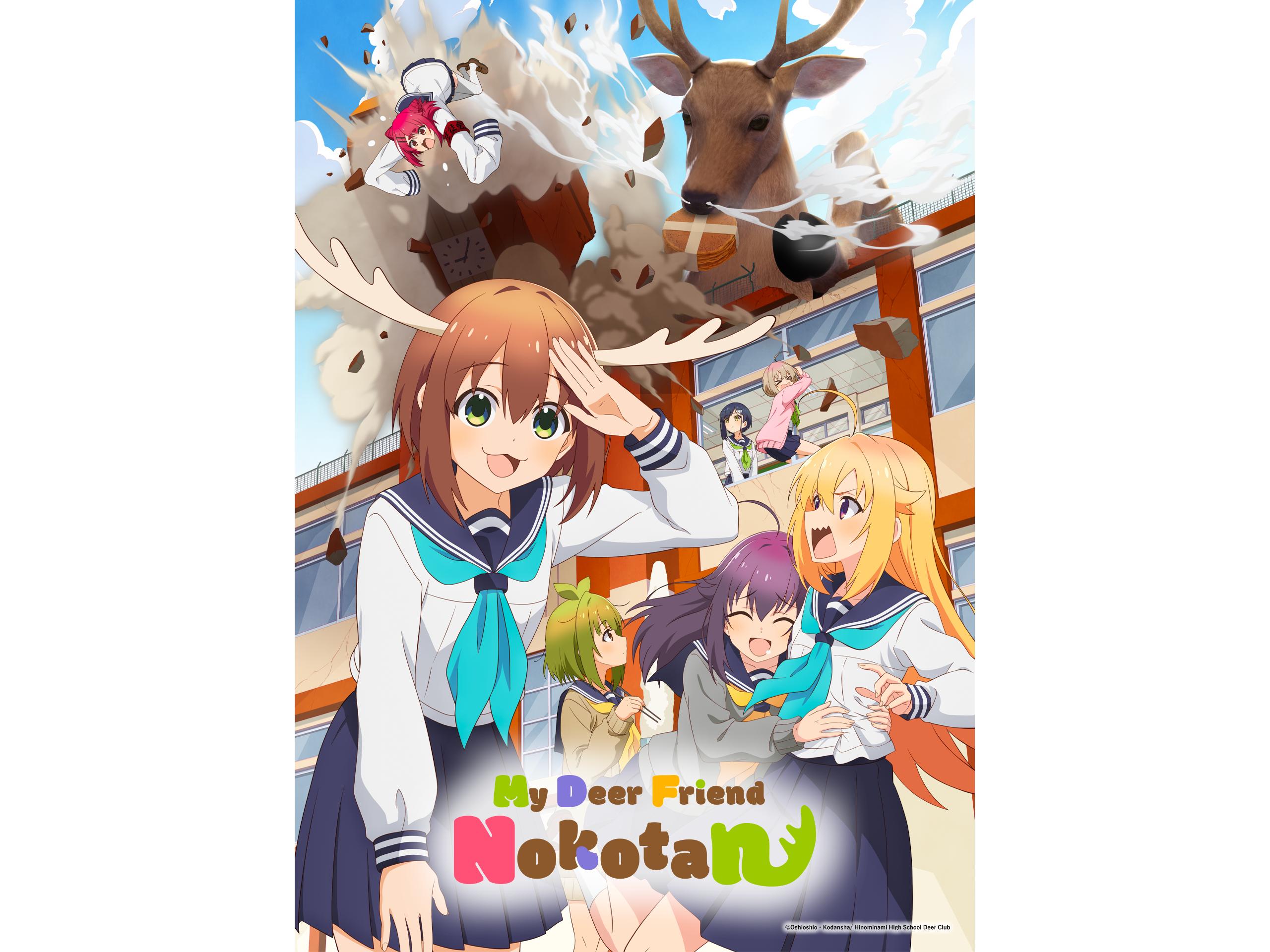 Prime Video: My Deer Friend Nokotan - S01