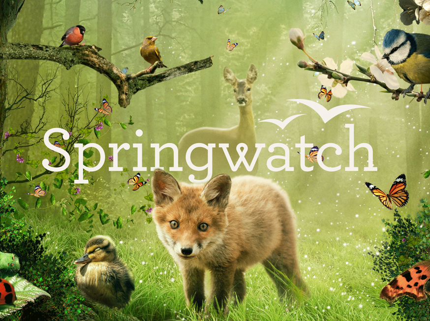 Prime Video: Springwatch 2020