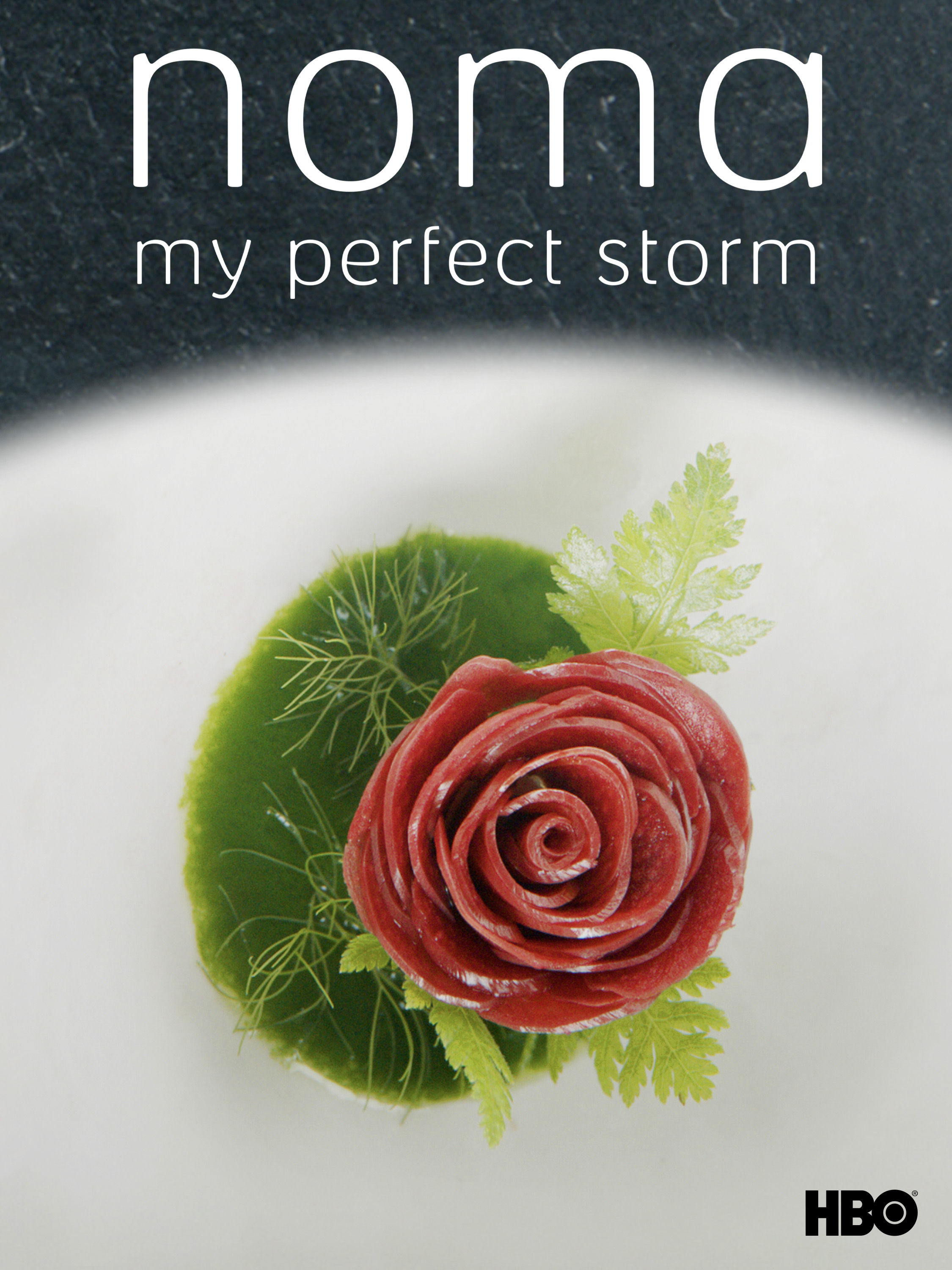 Prime Video: Noma: My Perfect Storm