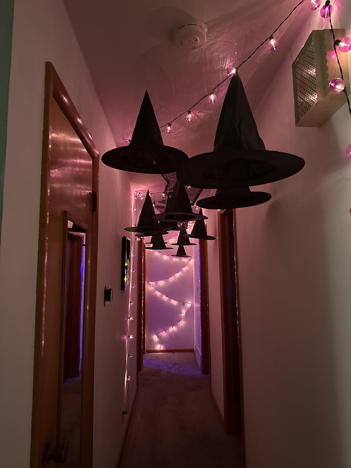 Alexis Biniza's Amazon Page