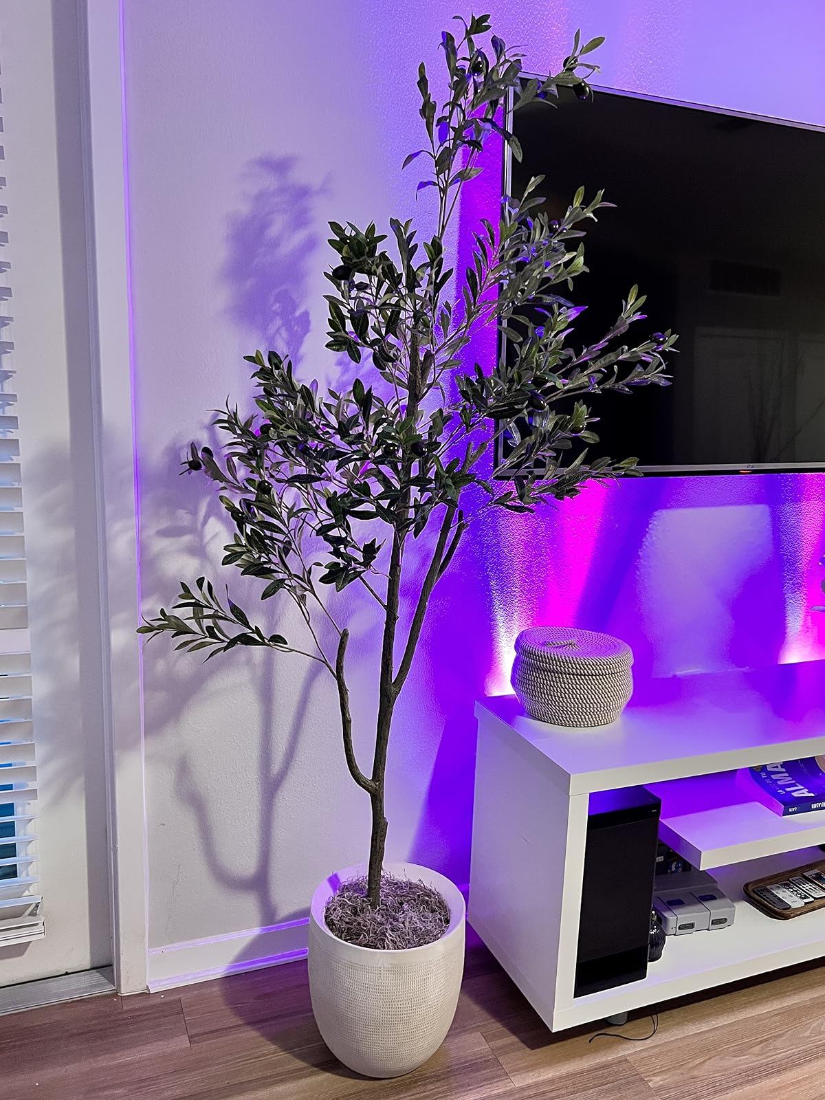 𝐷𝑎𝑖𝑙𝑦𝑛 𝐶ℎ𝑎𝑛𝑛𝑒𝑙's Amazon Page