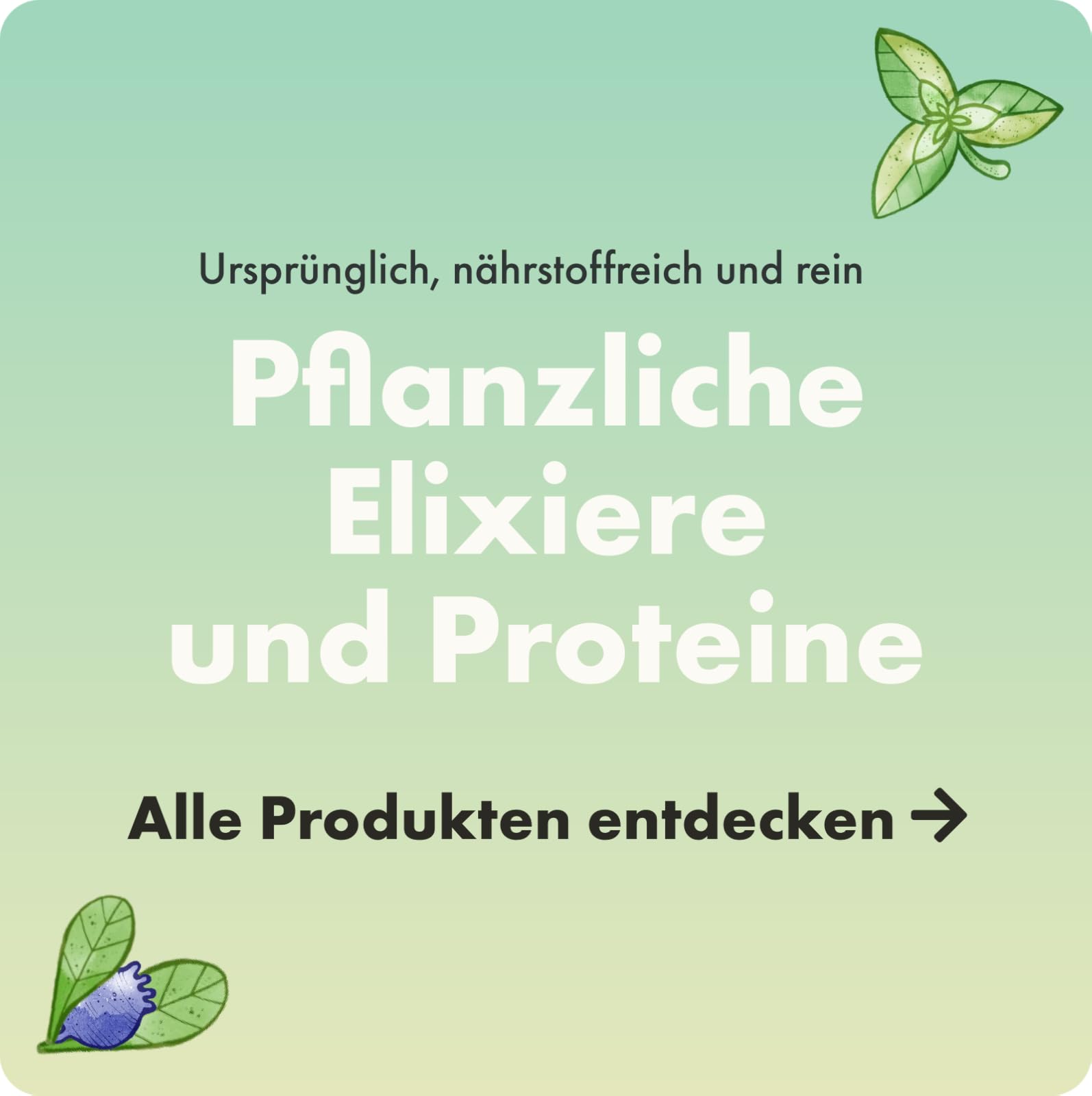 Amazon.de: Alpha Foods