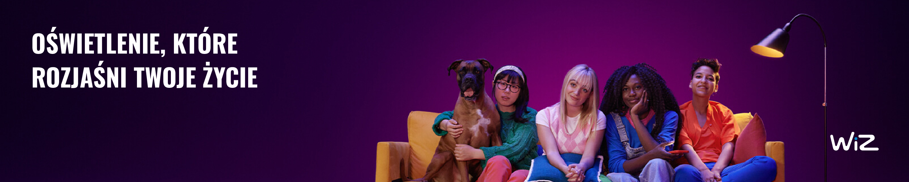 Amazon.pl: WiZ Connected Lighting: akcesoria