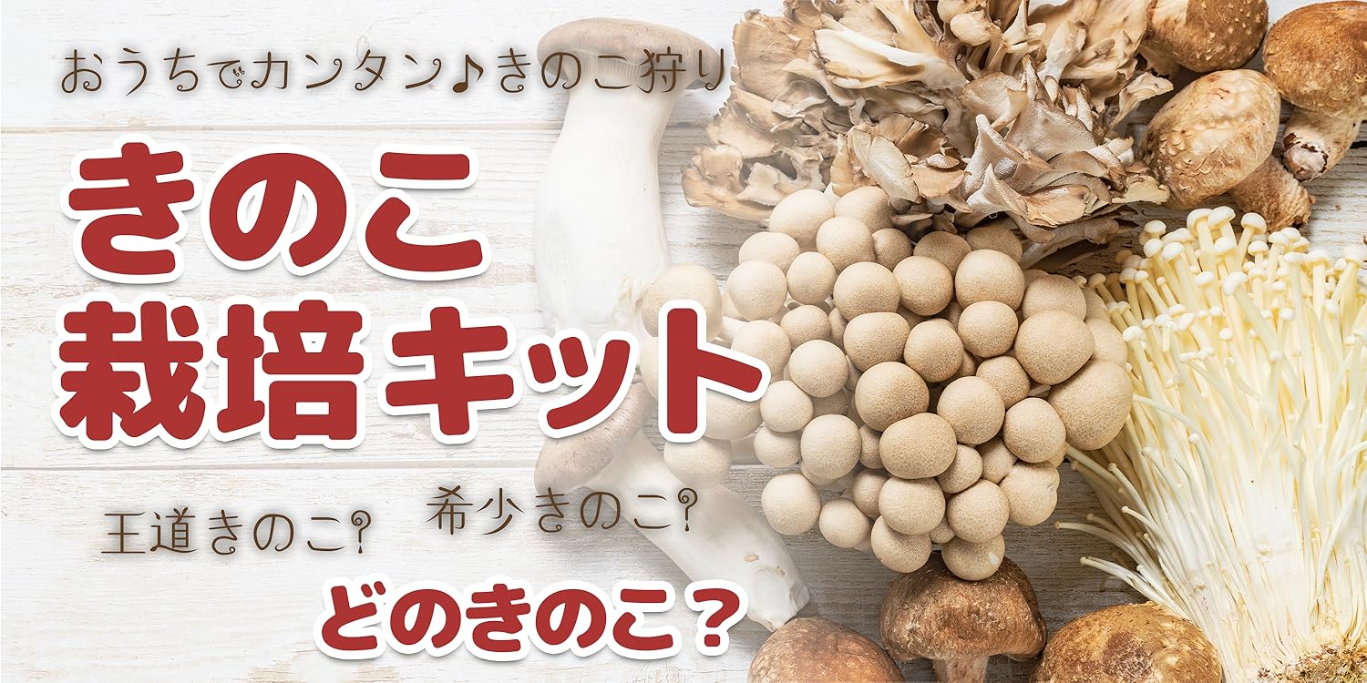 Amazon.co.jp: ITANSE: きのこ栽培セット