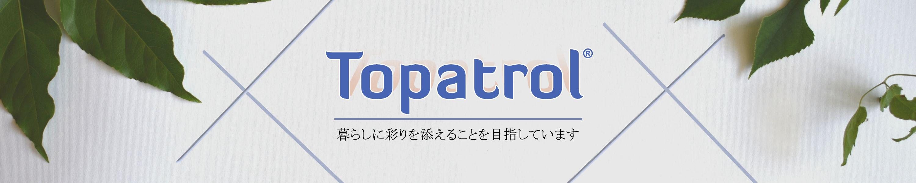 Amazon.co.jp: Topatrol: その他