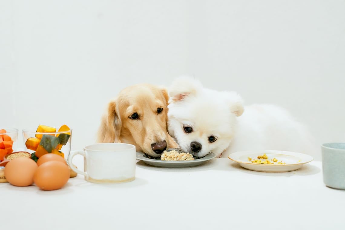 Amazon.co.jp: PETOKOTO FOODS