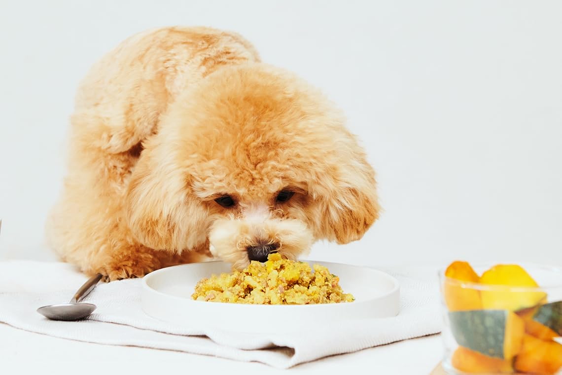 Amazon.co.jp: PETOKOTO FOODS