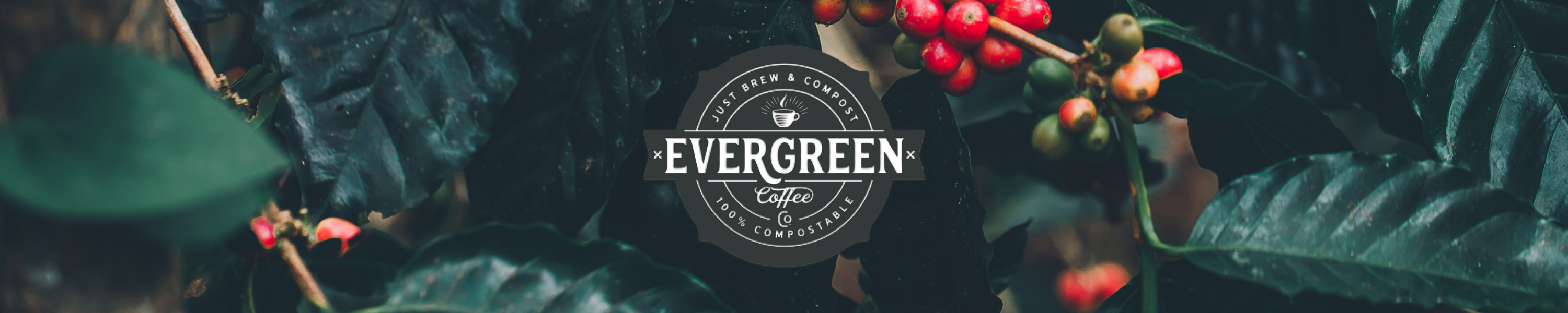 Amazon.com: EVERGREEN COFFEE CAPSULES