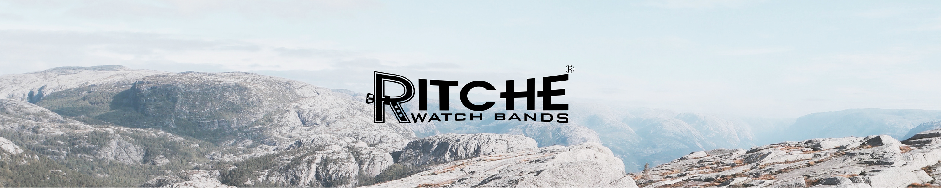 Amazon.com.br: RITCHE