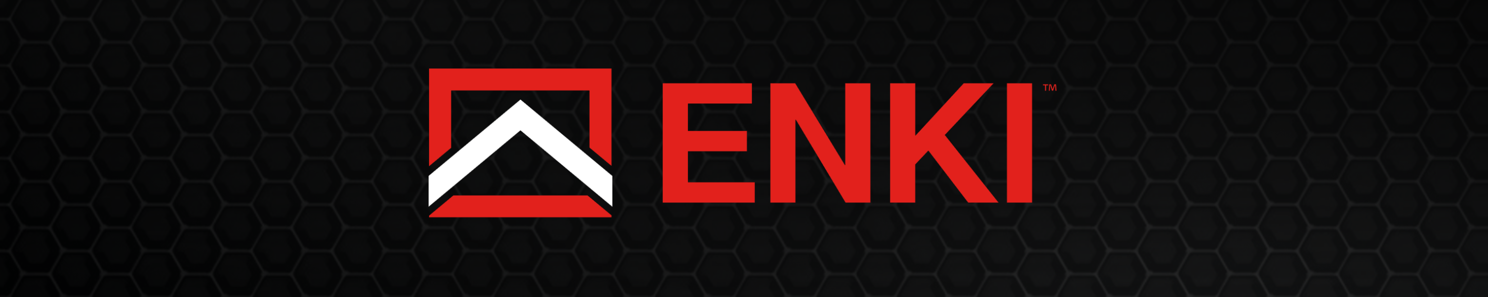 Amazon.com: ENKI: Guitar Cases