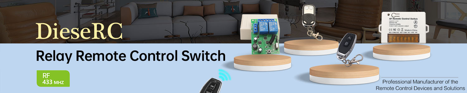 Amazon.com: DieseRC: DC 2 Channels