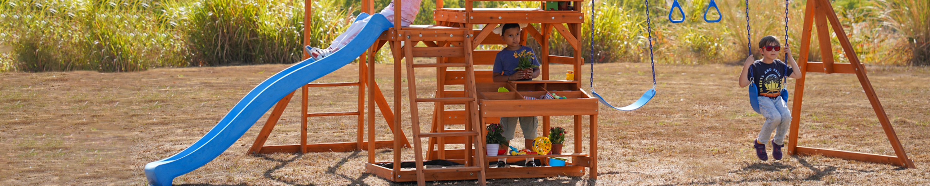 Amazon.com: Dolphin Playground T