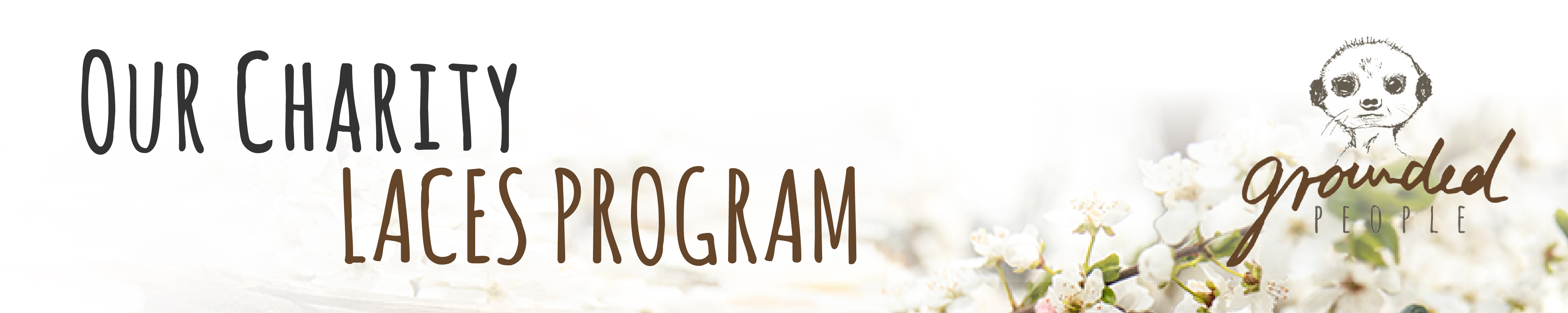 Amazon.com: Grounded People: LACES Program