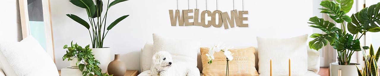 Amazon.com: Hollyone