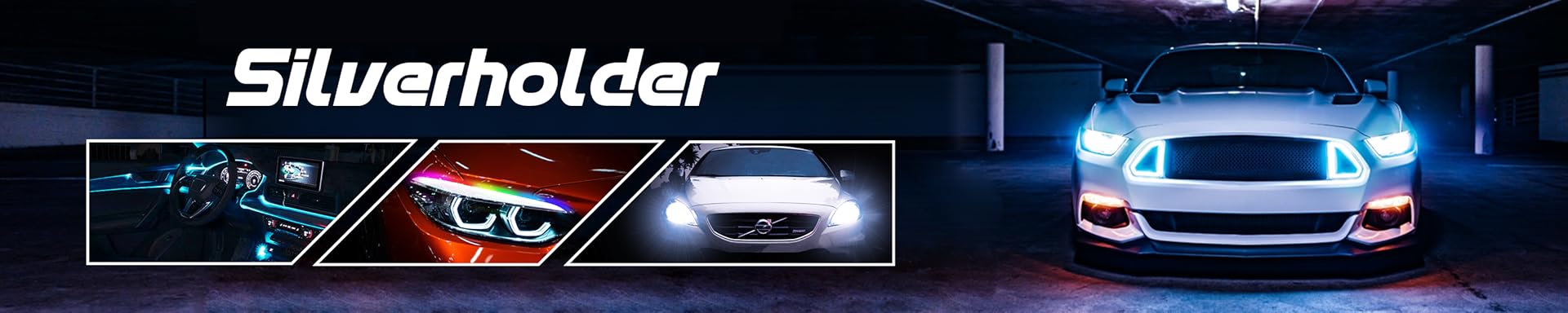 Amazon.com: SilverHolder