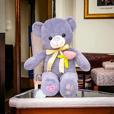 Teddyera : A Premium Indian Brand Dedicated To Teddy Bears