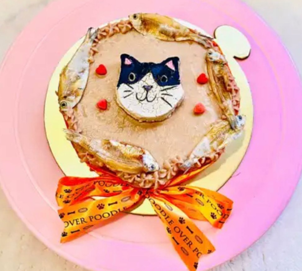 Cat Cakes | Pet-Safe Celebration Cakes for Cats