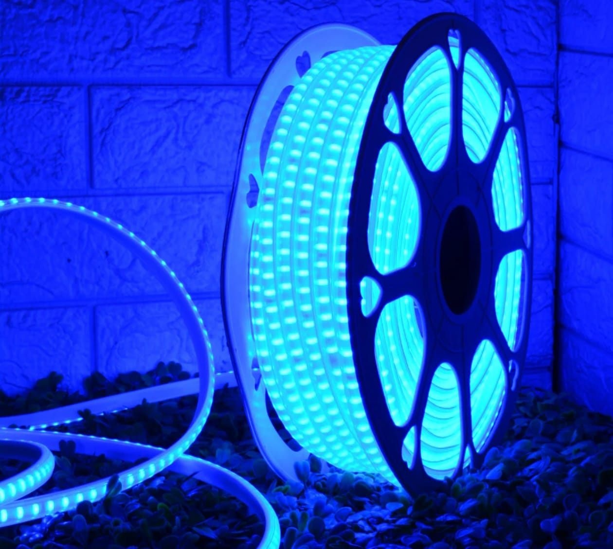 Buy Avani Outdoor LED Rope Lights Blue – 120 LEDs/m, IP67 Waterproof ...