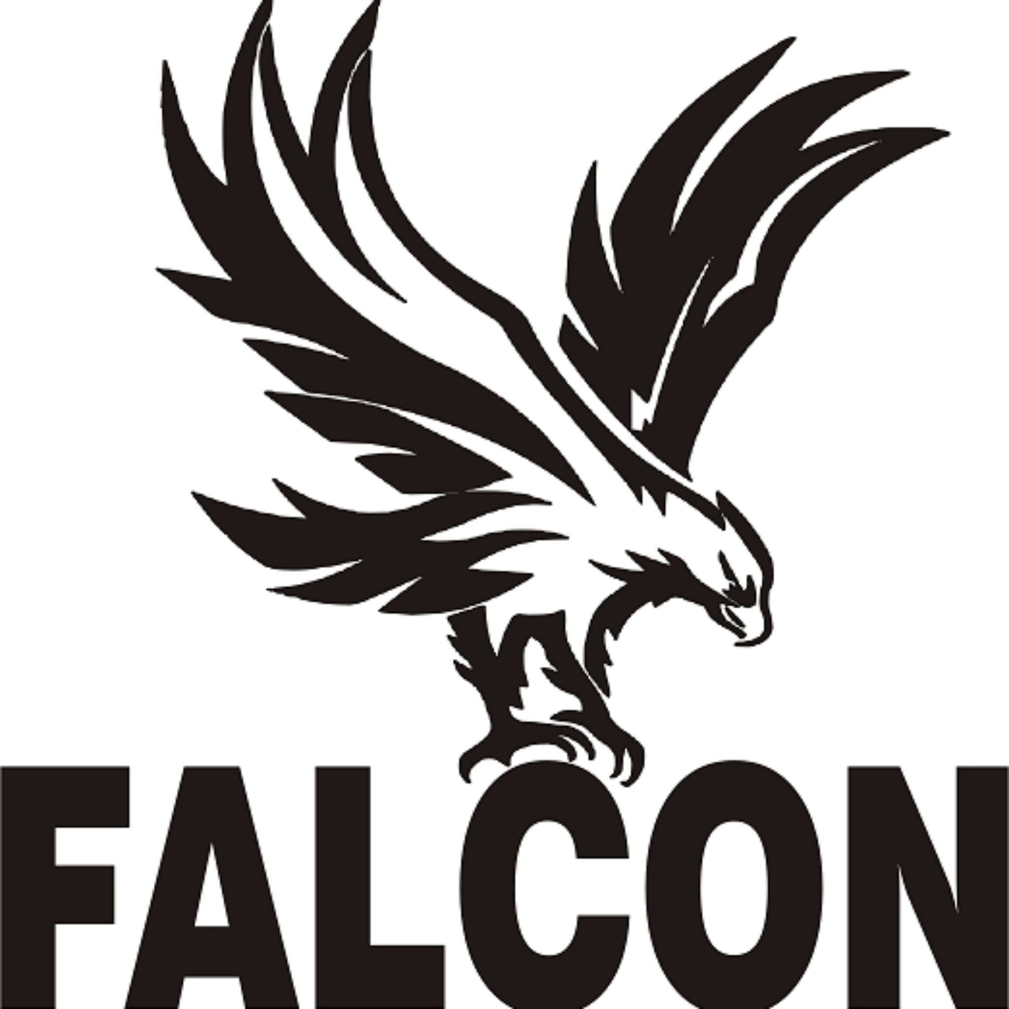 Falcon Sports | Shop online for Falcon T.T Blade (Beginner), Falcon T.T ...