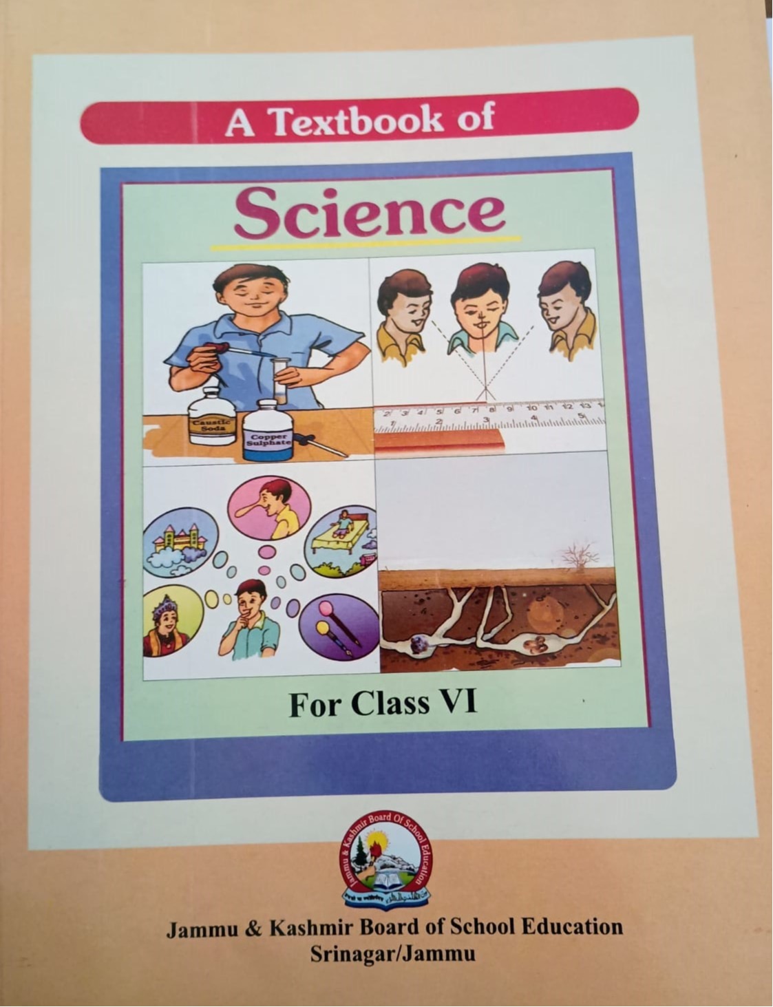 Buy 6th Science | BookVision