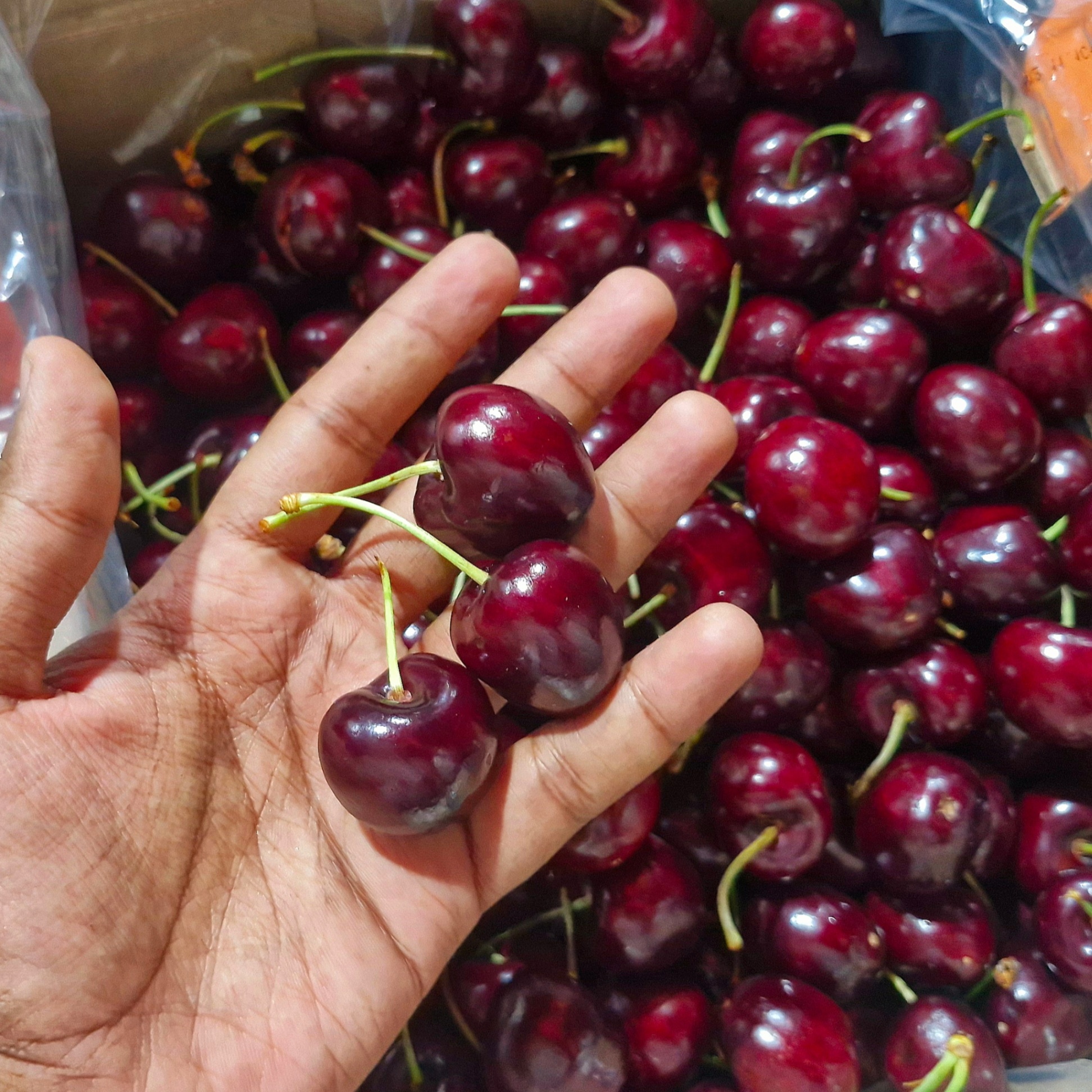 Buy Cherries (imported) from Chile, 250gms | Aditya Fruits Centre