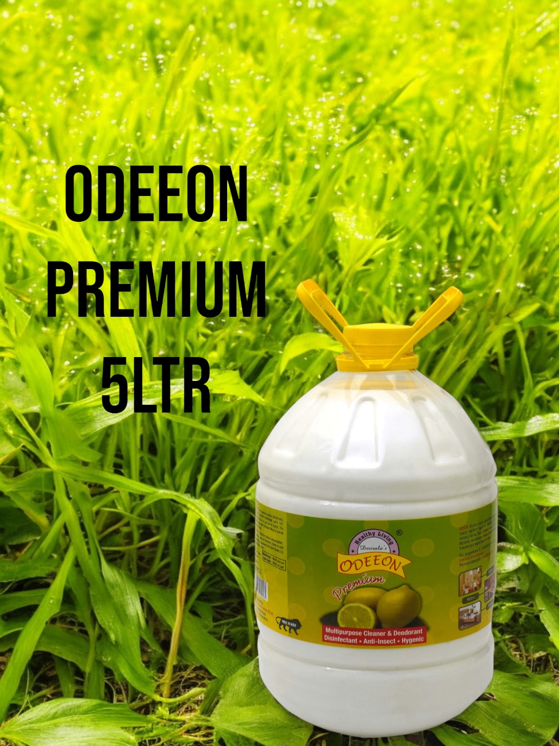 DEORALA HOME PRODUCTS PVT. LTD.