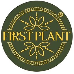 FirstPlant - 100% Organic Henna & Indigo for Hair Care